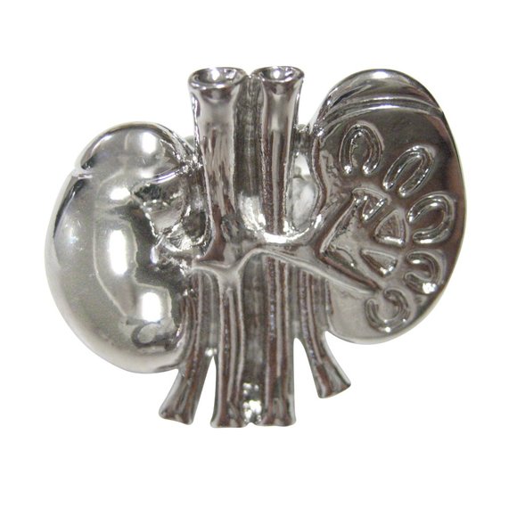 Kiola Designs | Jewelry | Anatomical Medical Nephrologists Kidney ...